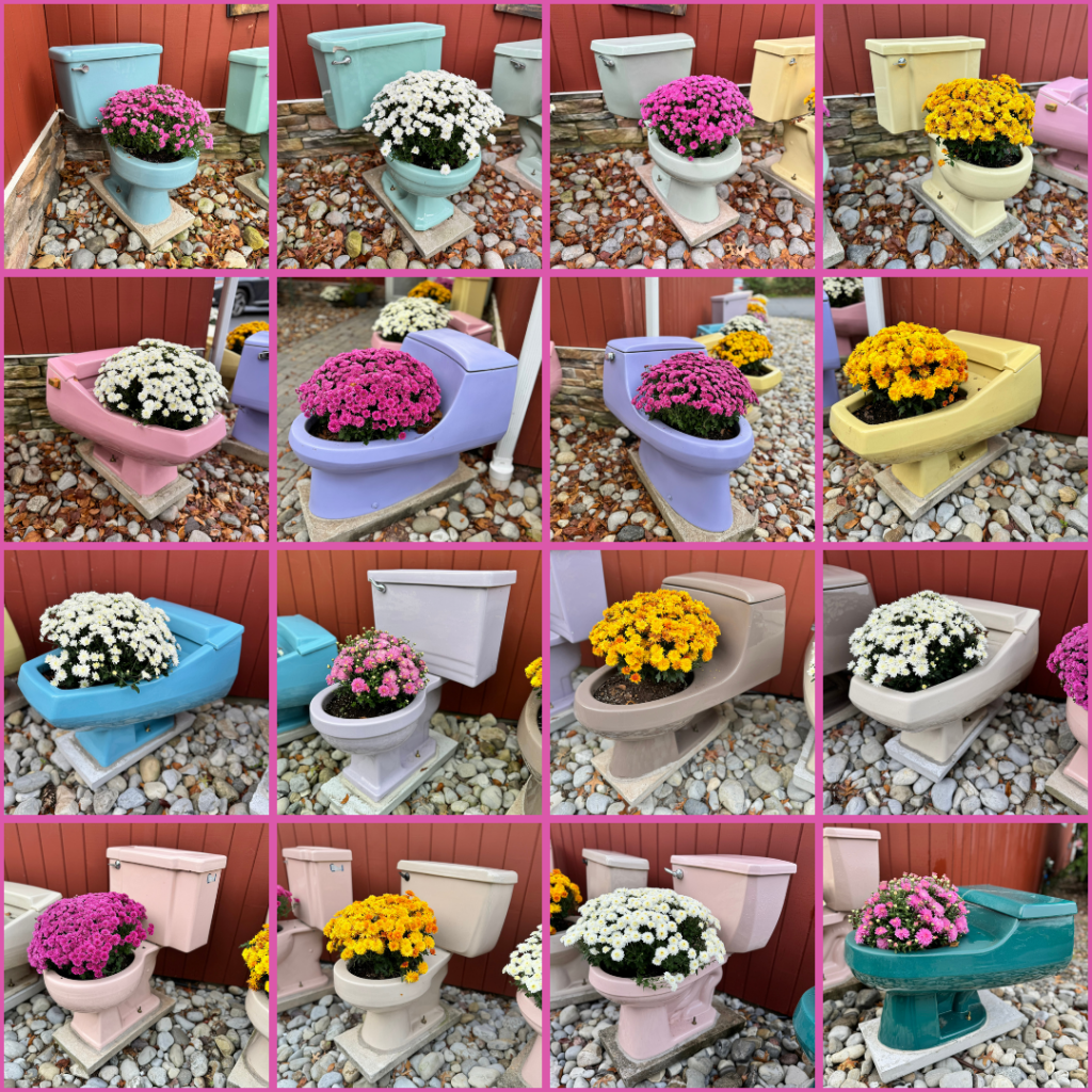The MSI Toilet Terrace | A Showcase of Colorful Toilets - MSI Plumbing ...